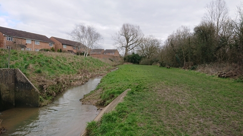 Wiltshire Wildlife Trust has announced plan to restore Clackers Brook | Wiltshire Wildlife Trust